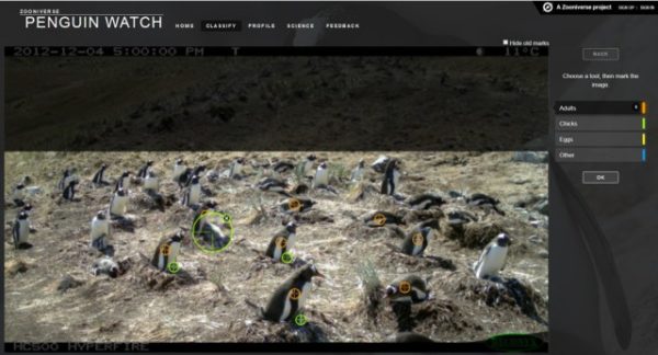 Tracking Penguin Colonies Through Their Droppings - Geography Realm