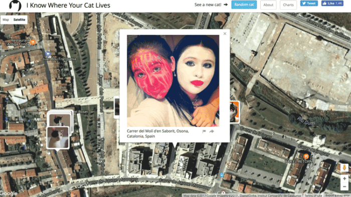 Using Geotagged Photos to Map Cats - Geography Realm