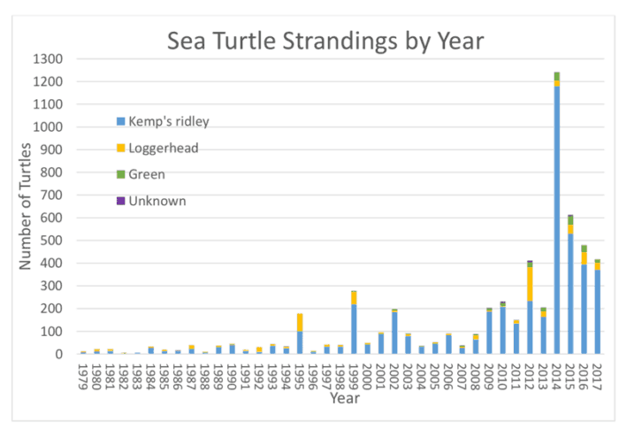 Climate Change Impacting Sea Turtles - Geography Realm