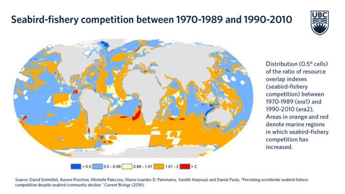 Industrial Fishing Has a Global Impact on Bird Populations - Geography ...