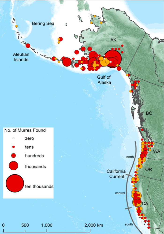 Oceans Are Warming 40 Percent Faster Than Previously Estimated ...