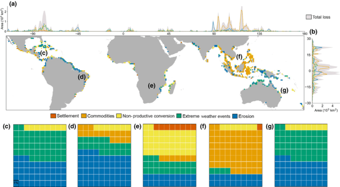Mapping the Causes of Mangrove Loss - Geography Realm