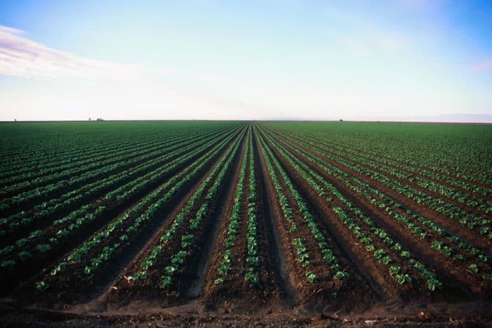 Geospatial Technology and Challenges of Contemporary Agriculture ...