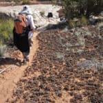 What are Desire Paths? - Geography Realm