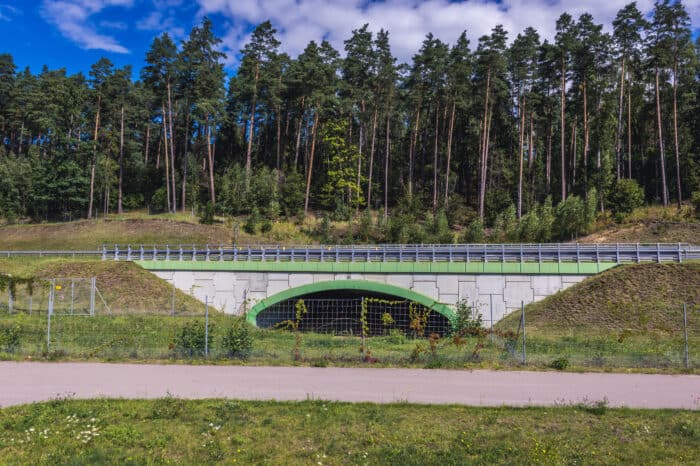 Introduction to Wildlife Corridors - Geography Realm