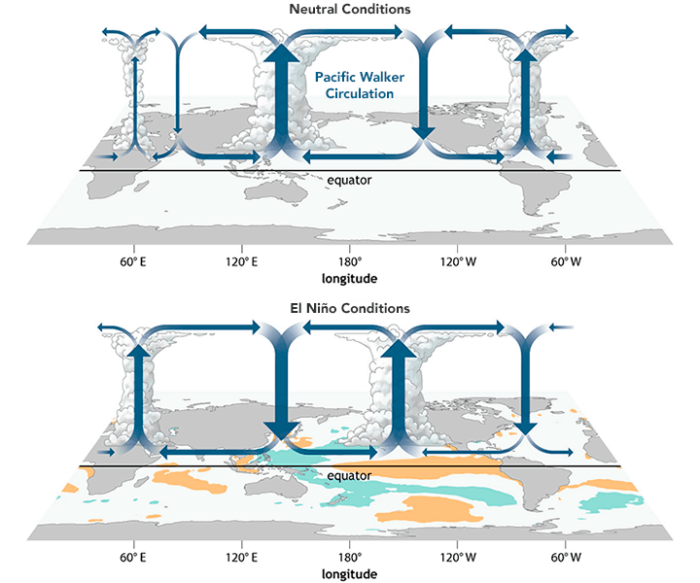 El Niño Has Arrived - Geography Realm