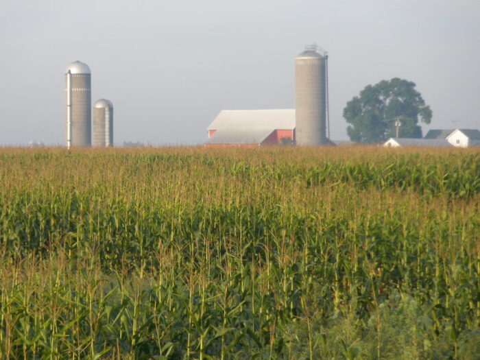 Geography of Corn in the United States - Geography Realm