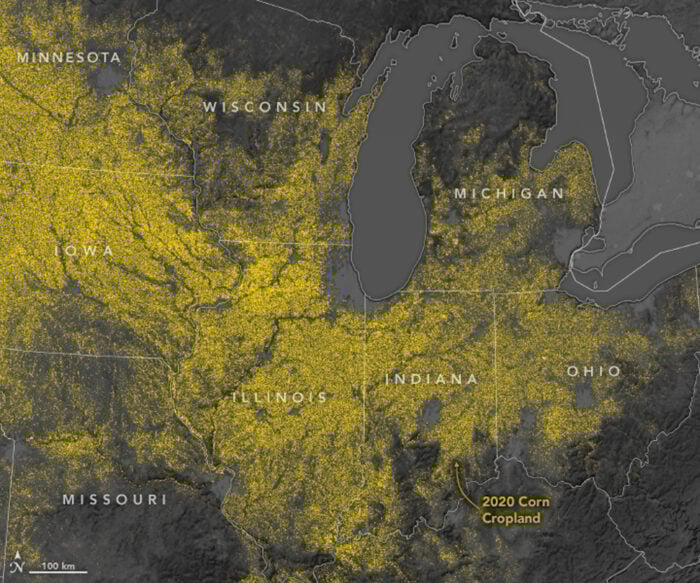 Geography of Corn in the United States - Geography Realm