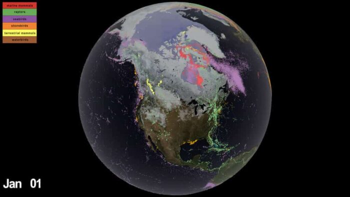 big data Archives - Geography Realm