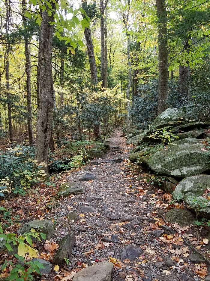 Geography of North Carolina - Geography Realm