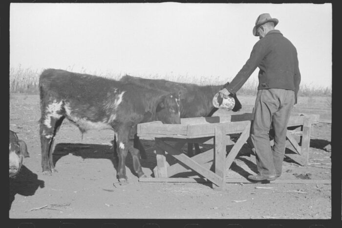 Geography of Kansas - Geography Realm