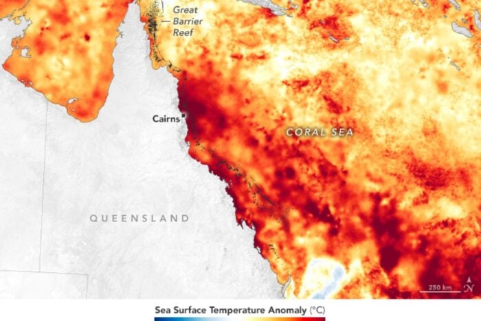 Geography of Coral Reefs - Geography Realm