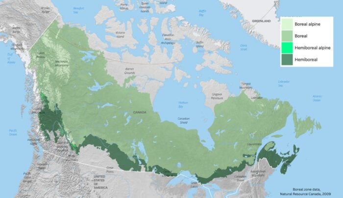 Biogeography Definitions - Geography Realm