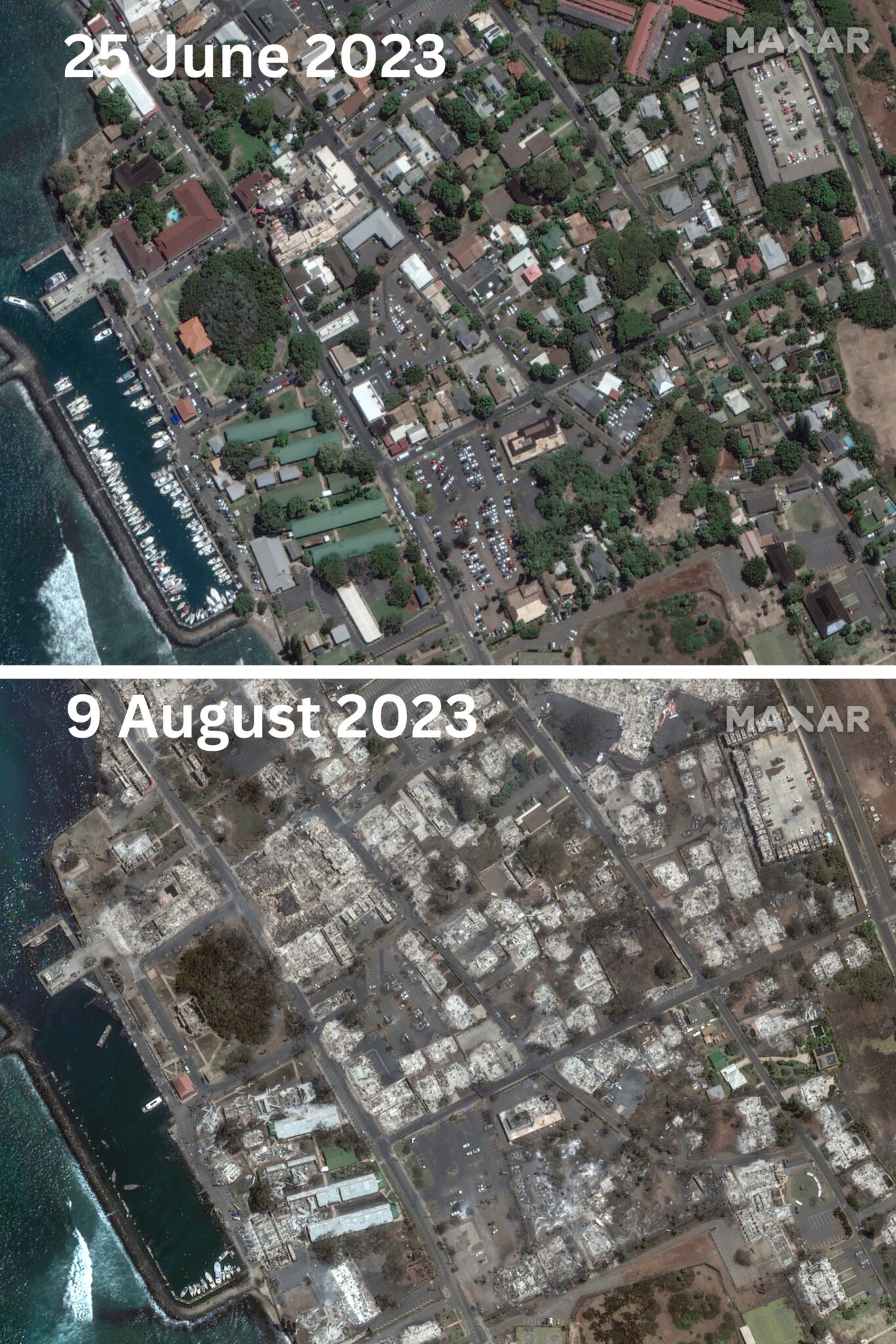 Wildfires in Hawaii - Geography Realm