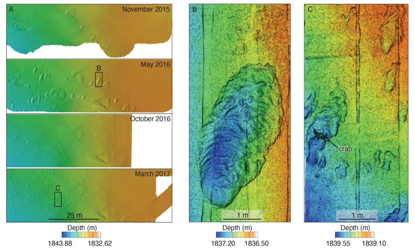 Highly Detailed Seafloor Maps - Geography Realm