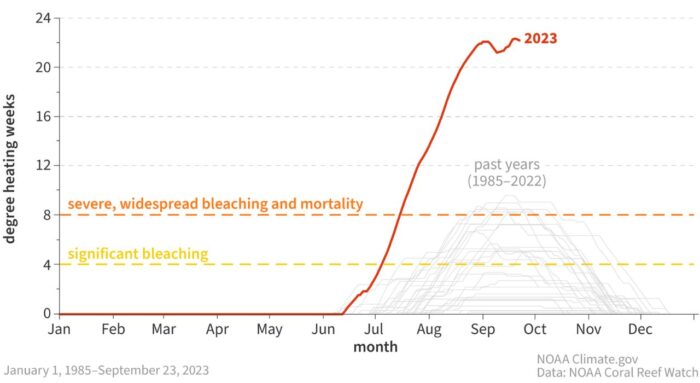 Mapping Coral Bleaching With Satellites - Geography Realm