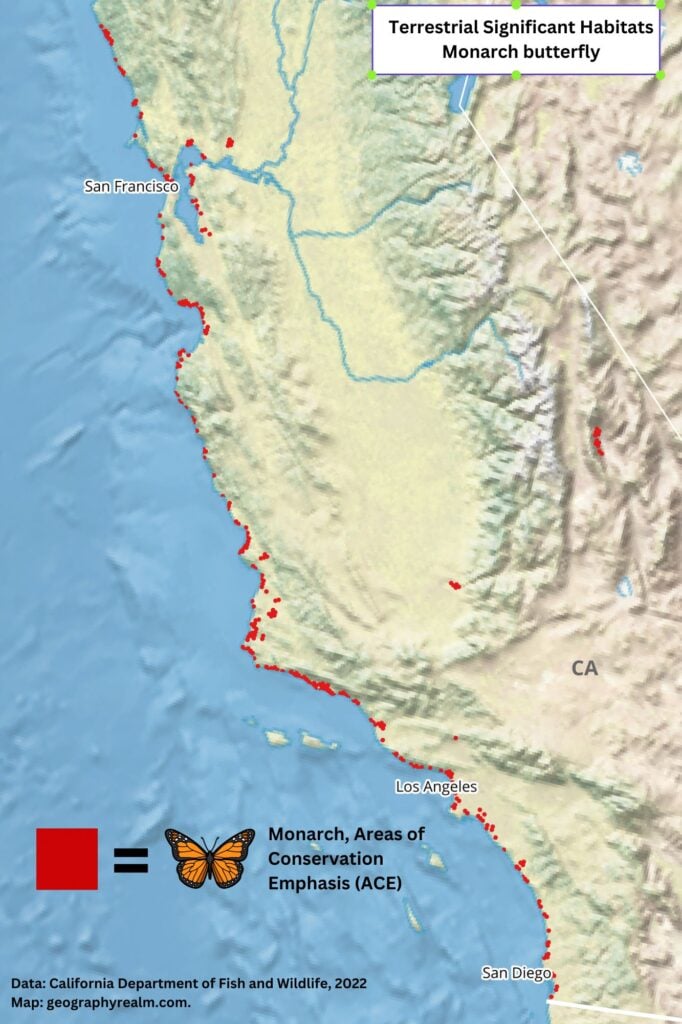 Monarch Butterfly Overwintering in California - Geography Realm