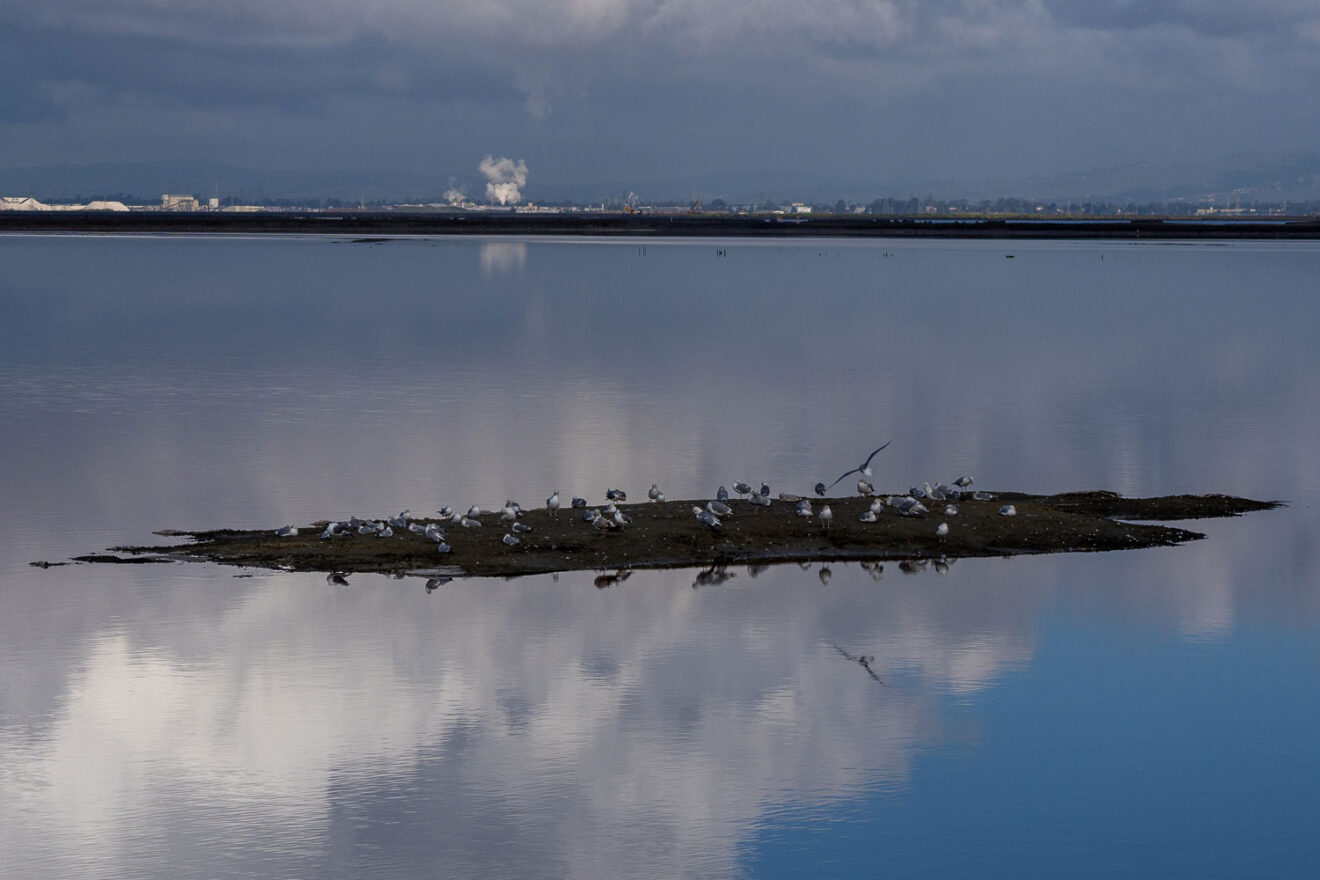 Alviso Slough in the San Francisco Bay - Geography Realm