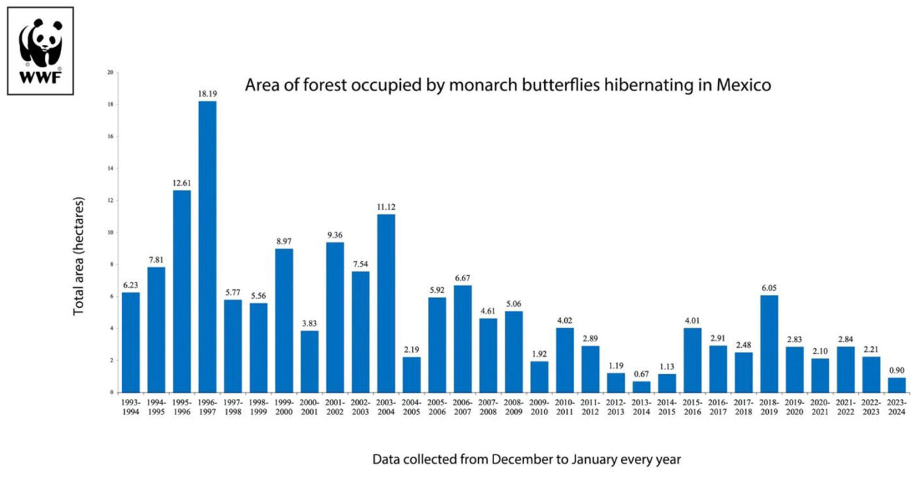 Overwintering Monarch Butterfly Populations - Geography Realm