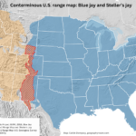 Geography and GIS - Geography Realm