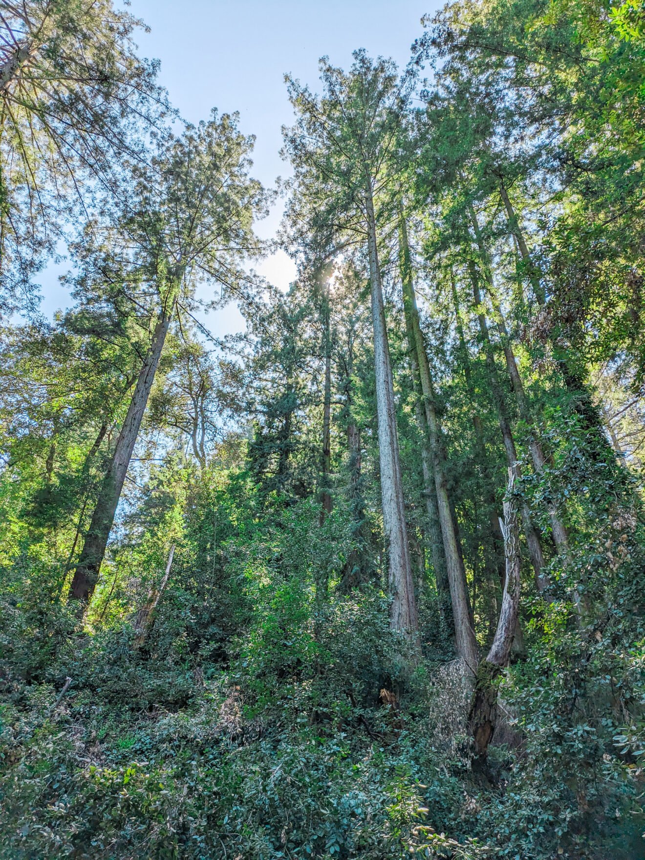 Home - Geography Realm