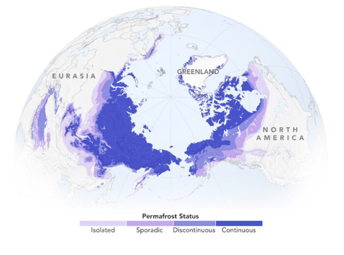 Planting Trees in the Arctic May Contribute to Climate Change ...