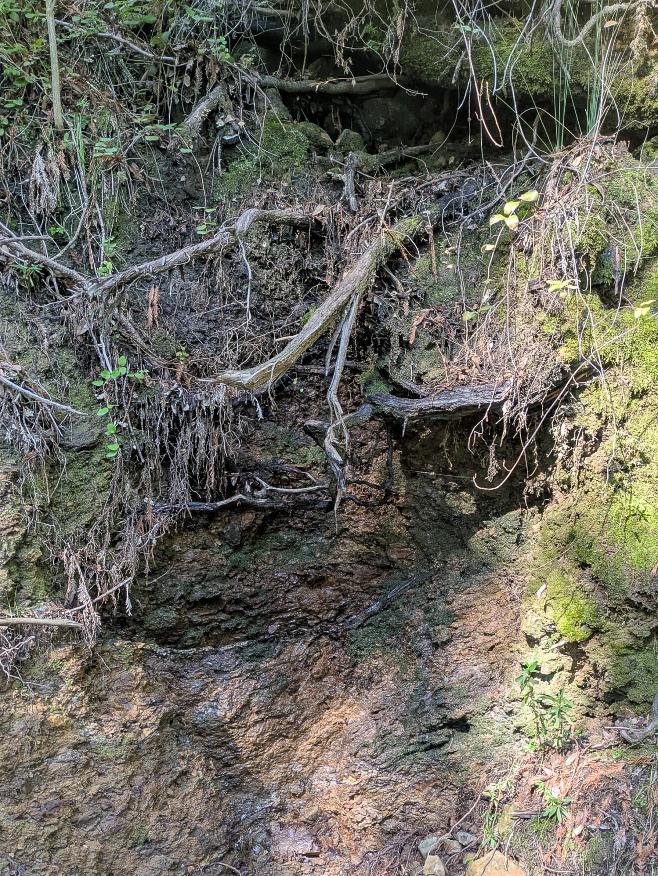 Water Can Take Years to Seep out of Mountains - Geography Realm